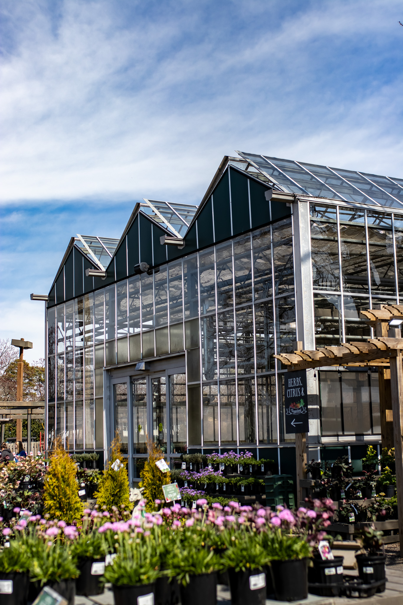 McDonald Garden Center | Greenhouse & More in Virginia Beach